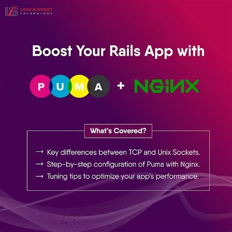 Rubyonrails Pumaserver Nginx Webappperformance Developertools Logicalstreet Technology