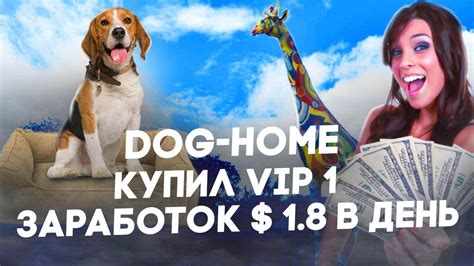 Заработок в интернете с вложением Как зарабатывать деньги в интернете Youtube