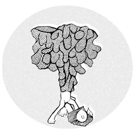 Wet Lab Sop Of The Deep Sea Sponge Microbiome Project