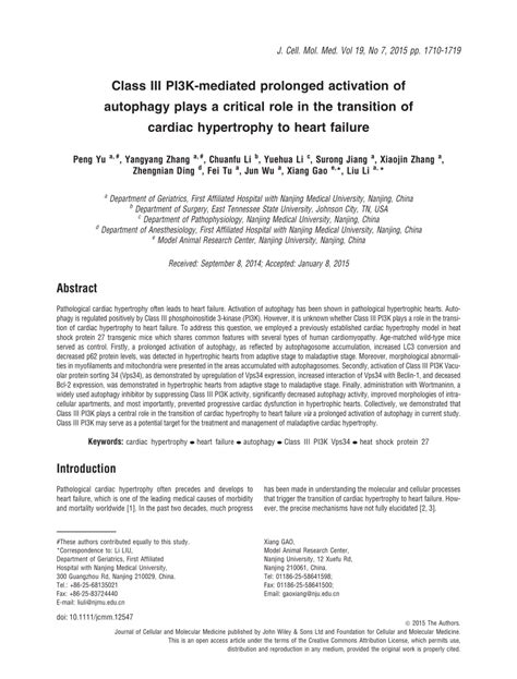 Pdf Class Iii Pi3k Mediated Prolonged Activation Of Autophagy Plays A Critical Role In The