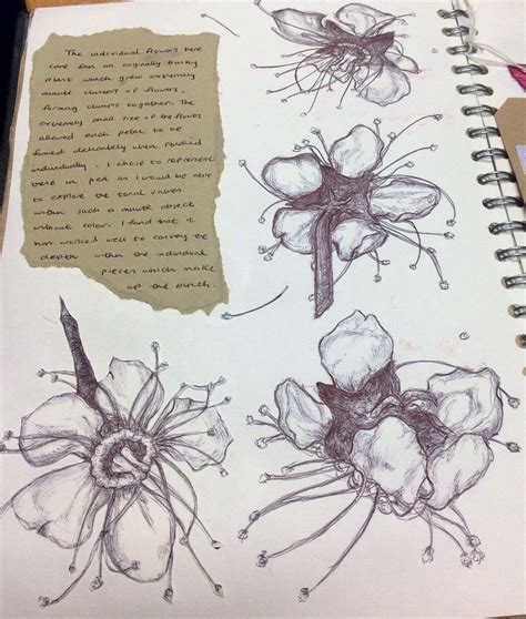 Art Sketchbook With Observational Drawings Of Flowers A Level Textiles