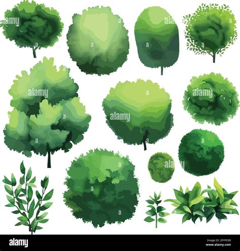 Gorgeous Trees Bushes Shrubs Top View Vector Stock Vector Image Art Alamy