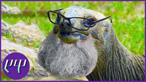 ყველაზე მოხუცი ცხოველები ★ ტოპ ფაქტები ★ Youtube