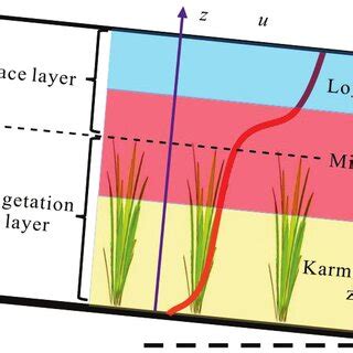 Color Online Sketch Of Flow Within Submerged Vegetation Download