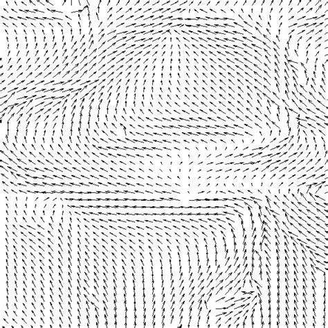 2 Unit Vector Field Of Edge Orientations Download Scientific Diagram