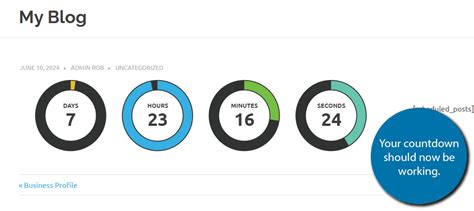 How To Add An Animated Countdown Timer To A Wordpress Site Greengeeks