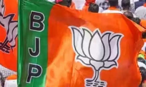 బీజేపీ జాబితాలో కనిపించని పలువురు సీనియర్ల పేర్లు కారణం ఇదేనా Seniors Who Do Not Appear In