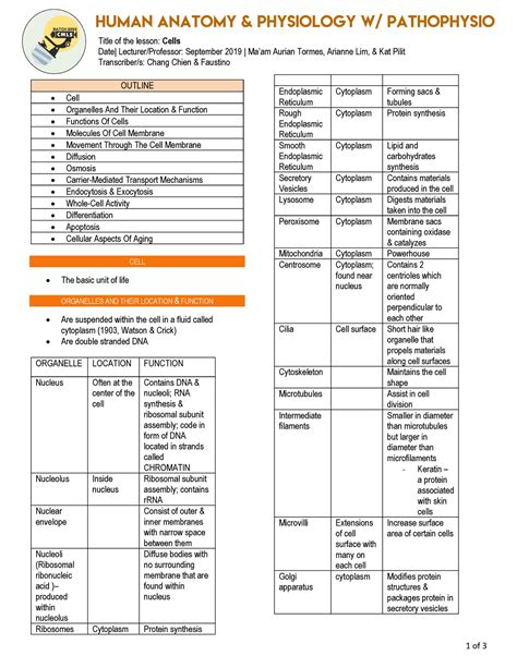 Cell Reviewer Lecture Notes 1 10 Warning Tt Undefined Function 32 1 Of 3 Human Anatomy