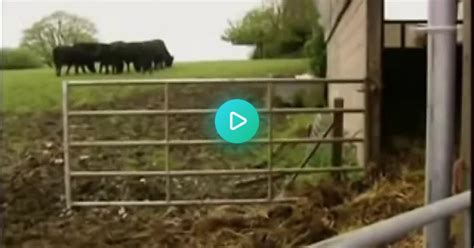 Farming Album On Imgur