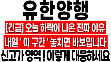 유한양행 주가 전망 내일 이 구간 놓치면 바보 오늘 하락한 진짜 이유 내일 이렇게 대응하세요 유한양행 주식 분석 유한양행 인수합병 유한양행 목표가 유한양행