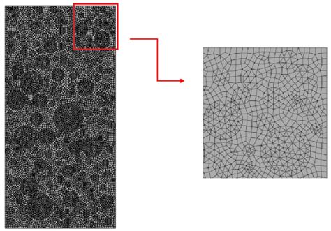 Mesh Adopted To Discretize The Model Download Scientific Diagram