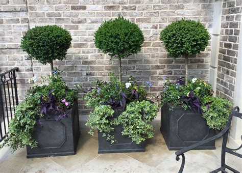 Boxwood Planters