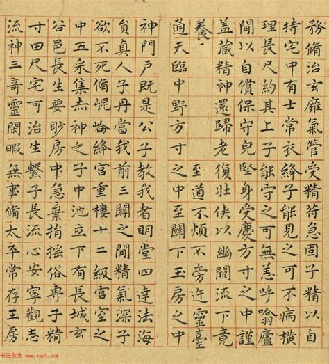 祝允明小楷临黄庭经卷明清书家书法欣赏