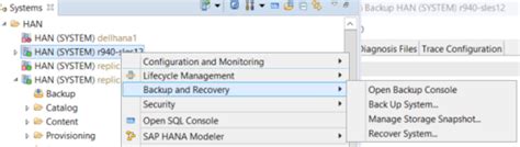 Backing Up And Recovering The Sap Hana Database Sc Series Storage