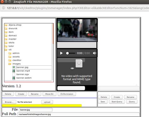 image file movie browser uploader and code editor and query executor