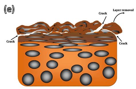 Schematic Representation Of The Wear Procedure Steps And Dominant Download Scientific Diagram