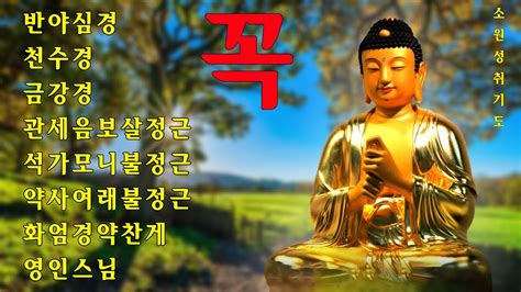 【소원성취기도】금전운 과 소원을 들어주는 불경 🙏 반야심경천수경금강경관세음보살정근석가모니불정근약사여래불정근화엄경약찬게