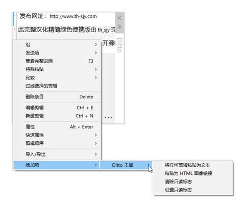 剪贴板增强工具 Ditto 3 24 246 0完整汉化精简绿色便携版 th sjy 专注软件汉化和资源分享