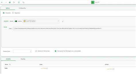 Execute Rulex Flow File