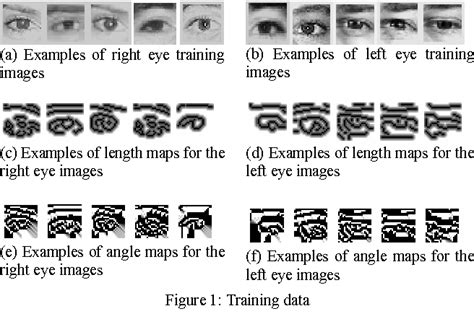Figure 1 From An Eye Detection Algorithm Using Pixel To Edge