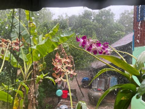 តំបន់ទំនាបកណ្ដាលនឹងមានភ្លៀងធ្លាក់ក្នុងកម្រិតបង្គួរ លាយឡំផ្គររន្ទះ និងខ្យល់កន្ត្រាក់