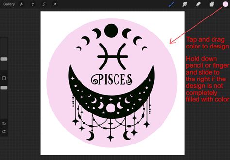 How To Use Procreate Top Tips Design Babe
