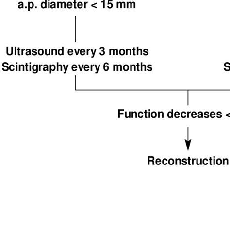 Differential Diagnosis Of Pyelonephritis Download Table
