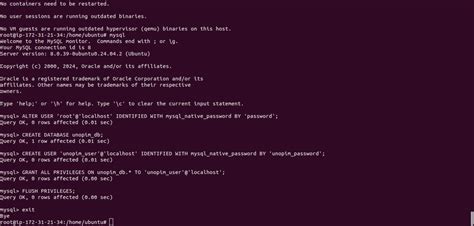 UnoPim Installation On Ubuntu 24 04 Cloudkul