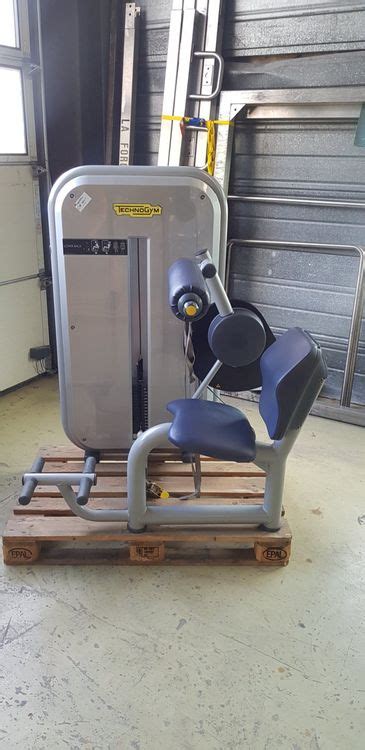 Lower Back Technogym Element Kaufen Auf Ricardo