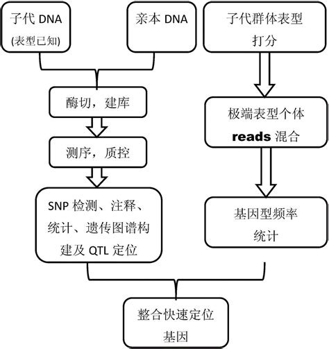 Gene Mapping Multi Inspection Method Eureka Patsnap