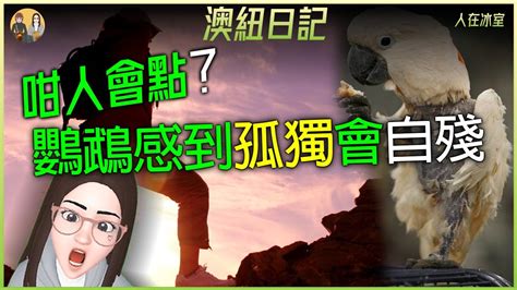 🇦🇺 澳洲人孤獨指數調查 ️長期感到孤獨會增加疾病風險😁 Long Term Loneliness Increases Illness