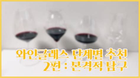 [와인잔 추천] 와인 중수들을 위한 레드 화이트 탐닉용 와인잔 추천 이정도는 있어야 와인 애호가지 와인잔 추천 시리즈 Ep 02 Youtube