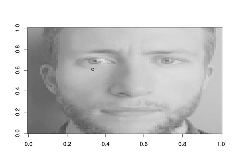 a simple keras facial keypoint detector