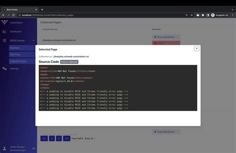 Bxss Hunter The Xss Hunters Secret Weapon