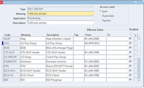 oracle apps knowledge hub oracle ap invoice setup