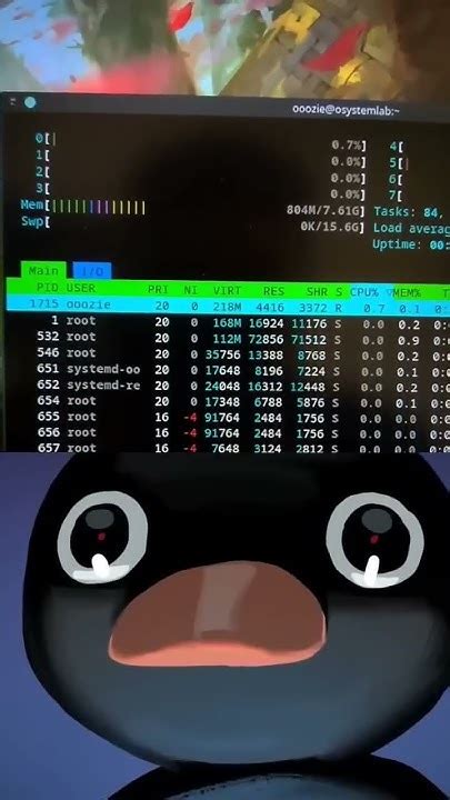 Ram Usage On Windows Compared To Linux Shorts Coding Linuxterminal Youtube