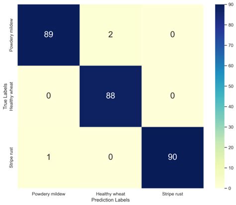 life free full text recognition of wheat leaf diseases using