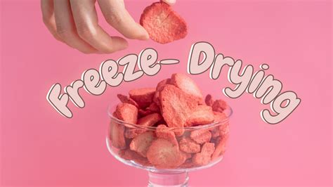 The Magic Of Freeze Drying