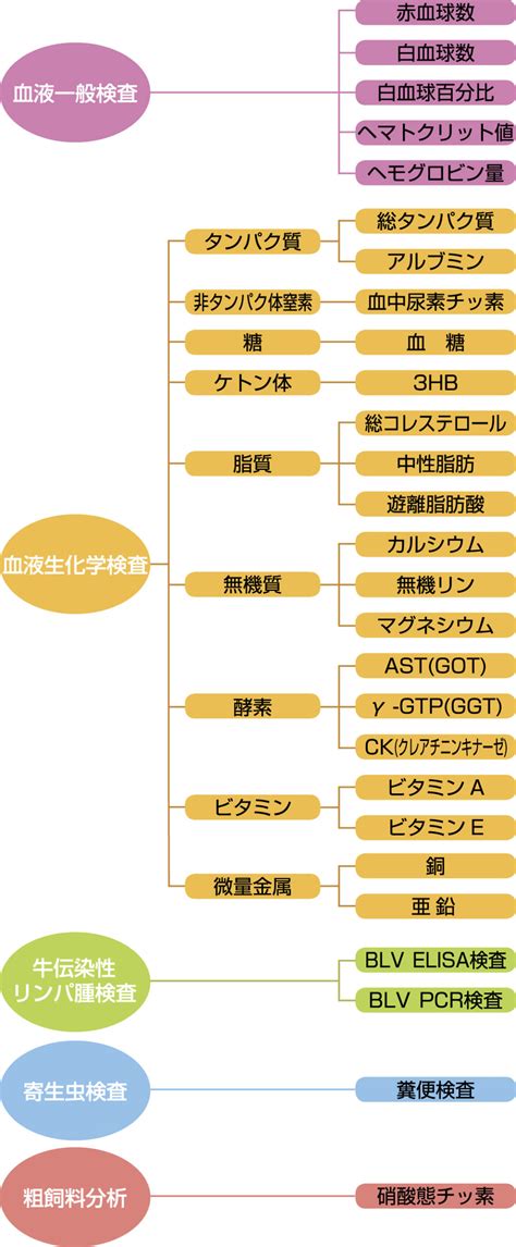 家畜臨床検査事業 NOSAIかごしま