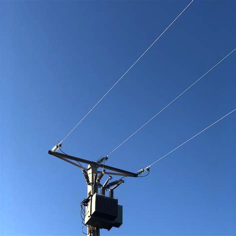 Premium Photo Low Angle View