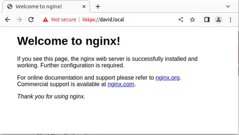 How To Build And Install Nginx Ktls From Source On Ubuntu 2204 David Tran
