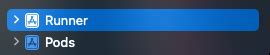 Ios Flutter Project In XCode Multiple Commands Produce