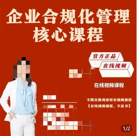 企业合规化管理核心课程 哔哩哔哩