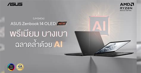 Asus Zenbook Oled Um Amd Ryzen Series