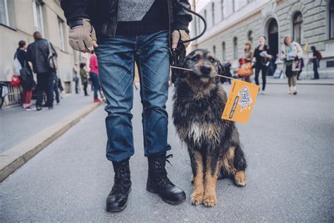 Scouting The Movement Hub