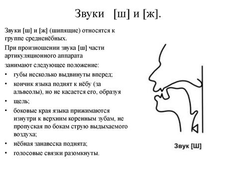 Сигматизмы шипящих звуков. Приёмы коррекции дефекта - презентация онлайн
