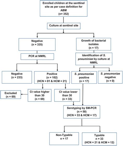flowchart of sample collection and testing the flow chart depicts the