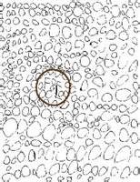 Making Learning Visible Documentation Exhibition