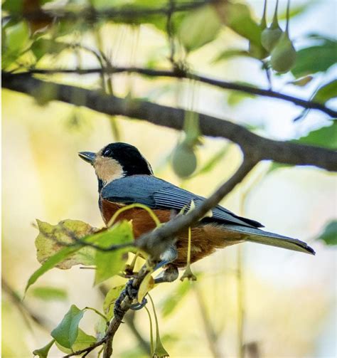 React Native와 React와의 차이점 1