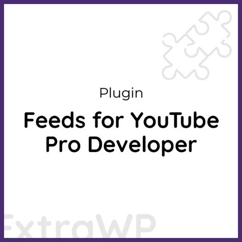 Feeds For YouTube Pro Developer ExtraWP